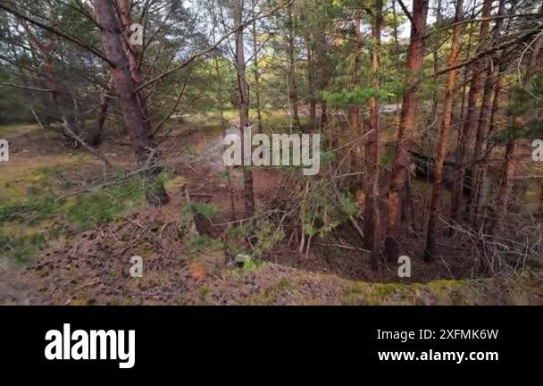 Abandoned World War II Trenches and Fortifications in Hel Peninsula ...