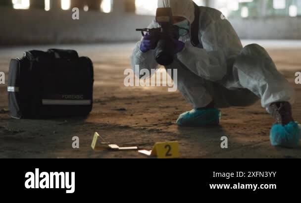 Forensic photographer, crime scene and person with evidence for ...