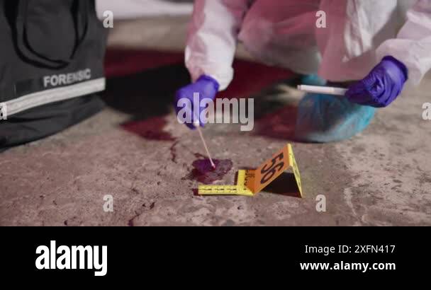 Road, crime scene and person with blood for evidence for investigation ...