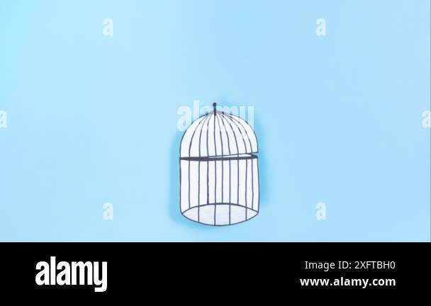 Bird fly from cage Stock Videos & Footage - HD and 4K Video Clips - Alamy