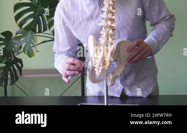 A medical professional uses a spine model to explain the anatomy and ...