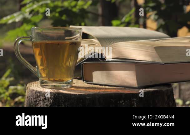 A peaceful scene of a cup of tea and books resting on a tree stump in a ...