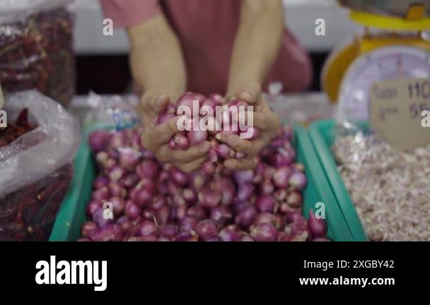 asian mature man picking up a handful of big garlic with both hands and ...