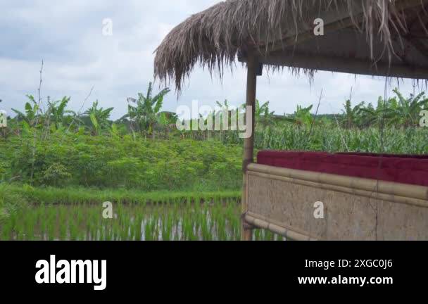 The midsection Stock Videos & Footage - HD and 4K Video Clips - Alamy