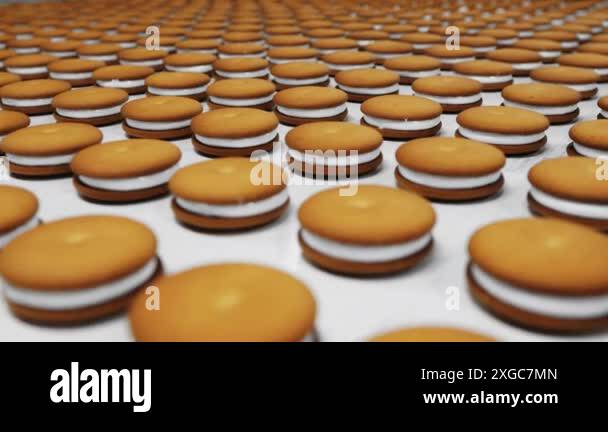 Choco pie production at a confectionery factory. Cookies with white ...