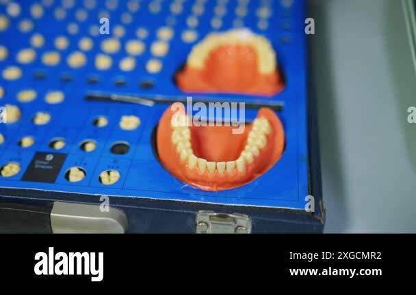 Samples human artificial teeth Stock Videos & Footage - HD and 4K Video ...