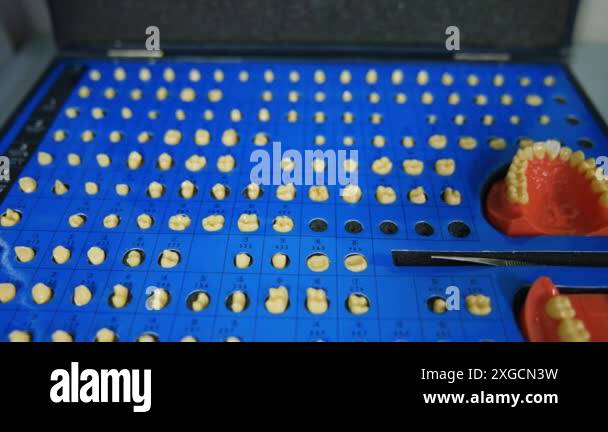 Beautiful teeth set Stock Videos & Footage - HD and 4K Video Clips - Alamy