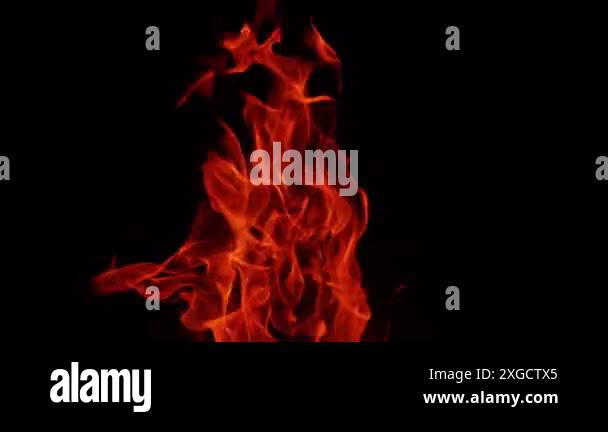 Red fire flame stretching high into the darkness. Blaze isolated at ...