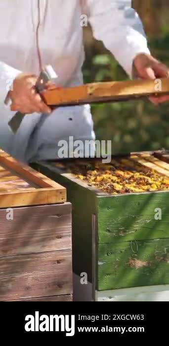 White beekeeping suit Stock Videos & Footage - HD and 4K Video Clips ...