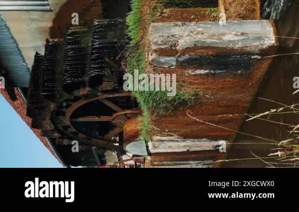 Wooden wheel of old vintage mill turning water. Vertical video. Mill ...