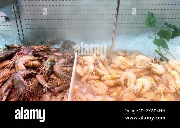 Food groups in fridge Stock Videos & Footage - HD and 4K Video Clips ...