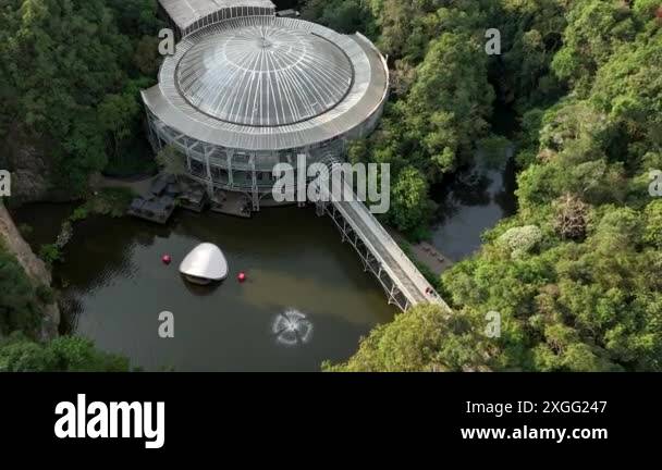 Forest opera Stock Videos & Footage - HD and 4K Video Clips - Alamy