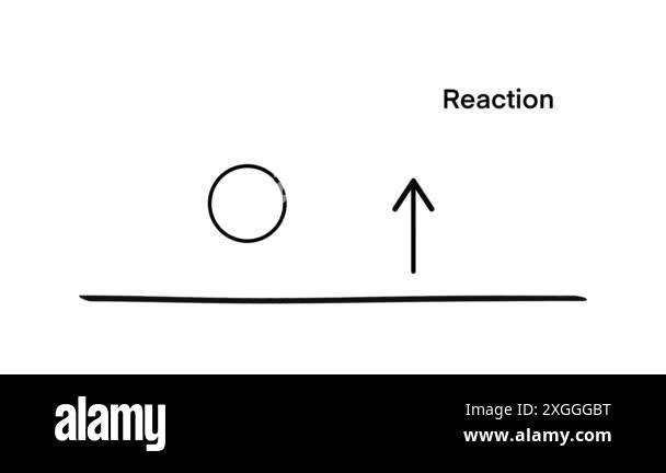 Newton Third Law of Motion Infographic Diagram showing action reaction ...