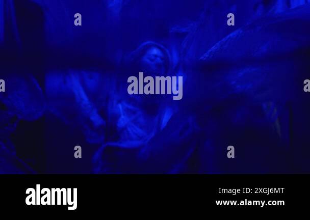 The camera moves along a creepy abandoned corridor, spiderwebs and old ...