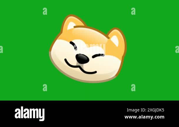 Blinking dog Stock Videos & Footage - HD and 4K Video Clips - Alamy