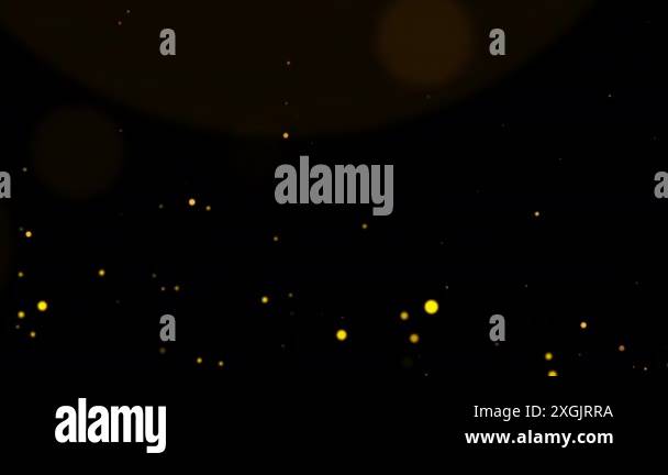 Animation flow up glow orange gold bokeh particles sparks float on black abstract background for ...