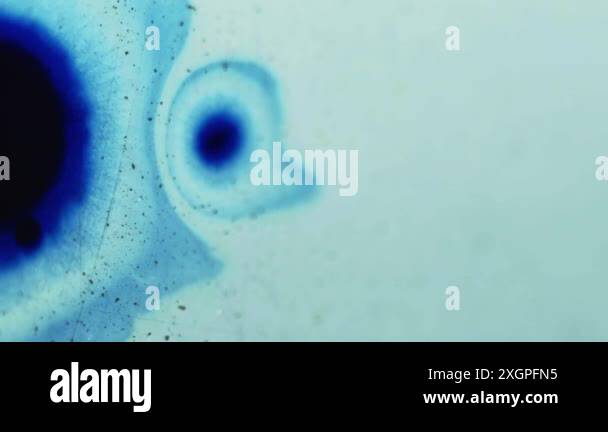Water stain paper texture blue Stock Videos & Footage - HD and 4K Video ...