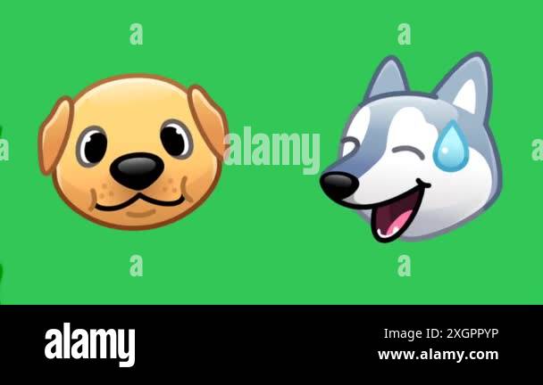 Dog emoticon Stock Videos & Footage - HD and 4K Video Clips - Alamy