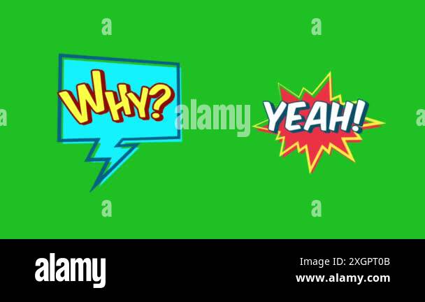 The funny cartoon character and sticker of the word "why" and the word ...