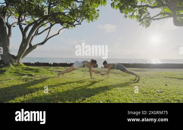 Coastal grass tree Stock Videos & Footage - HD and 4K Video Clips - Alamy