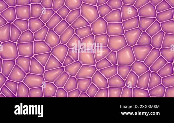 Stylized digital seamless loop animation of the movement of pink ...