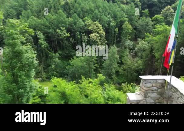 Gree real trees Stock Videos & Footage - HD and 4K Video Clips - Alamy