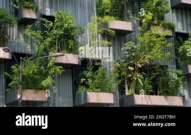 Plants growing building architecture Stock Videos & Footage - HD and 4K ...