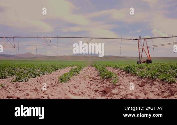 Efficient farming techniques Stock Videos & Footage - HD and 4K Video ...