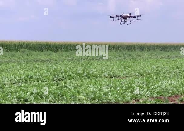 Protection of crops Stock Videos & Footage - HD and 4K Video Clips - Alamy