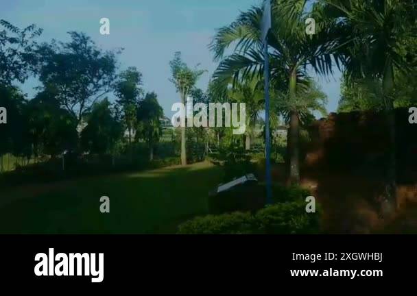 An ancient Hindu temple made of bricks with a towering tree growing in ...