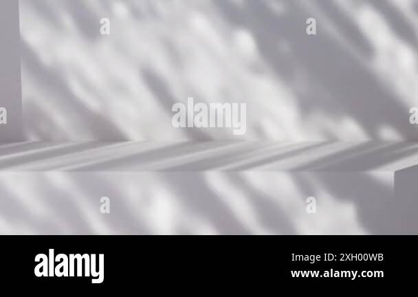 3D render of sunny time animation with trees behind window and shadow ...