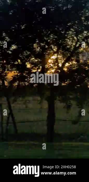 Pastoral displays Stock Videos & Footage - HD and 4K Video Clips - Alamy