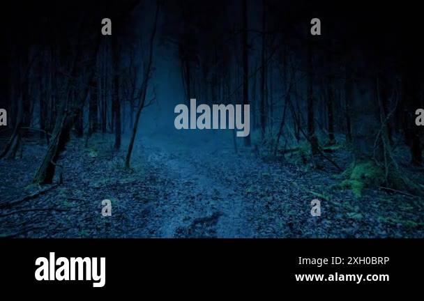 Spooky person in the woods Stock Videos & Footage - HD and 4K Video ...