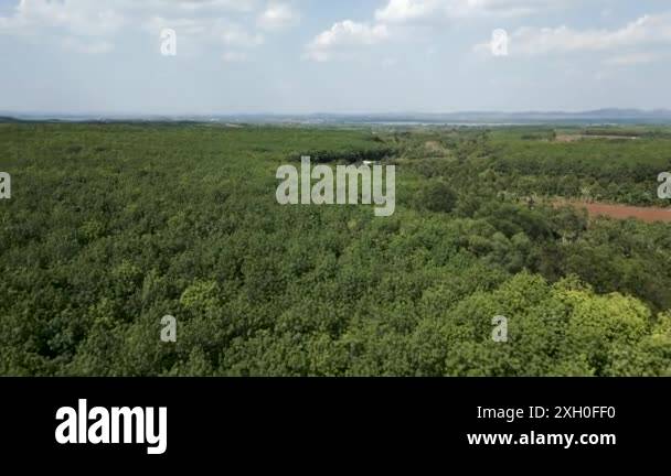 large lush forest of vietnam birds eye view above forests and mountains ...