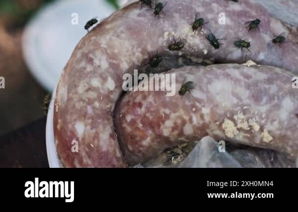 Decaying process Stock Videos & Footage - HD and 4K Video Clips - Alamy