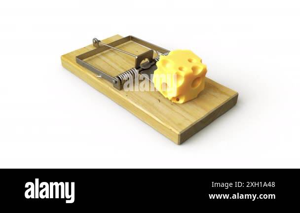 Mouse cheese maze Stock Videos & Footage - HD and 4K Video Clips - Alamy