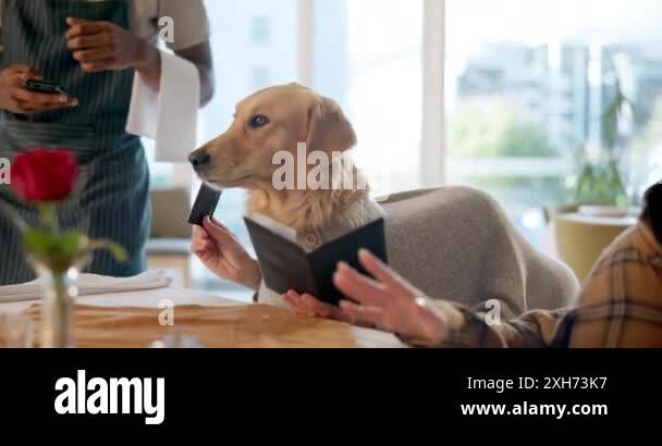 Animal comic Stock Videos & Footage - HD and 4K Video Clips - Alamy