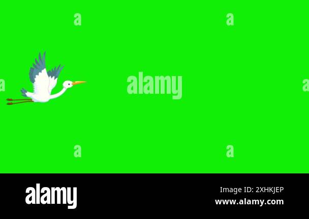 2d white buck birds flaying sky green screen animation 4k Stock Video ...
