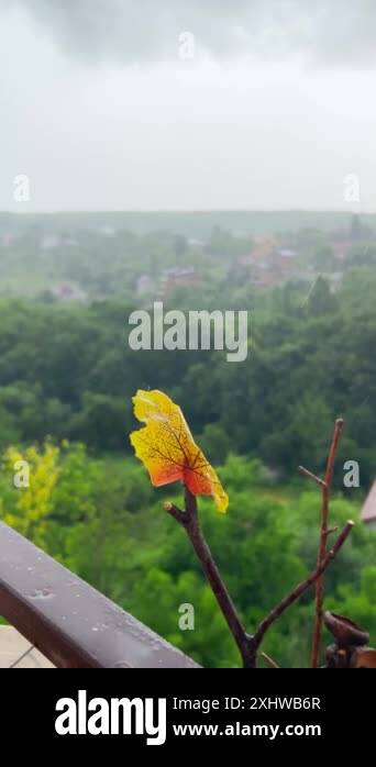 Weather vertical Stock Videos & Footage - HD and 4K Video Clips - Alamy