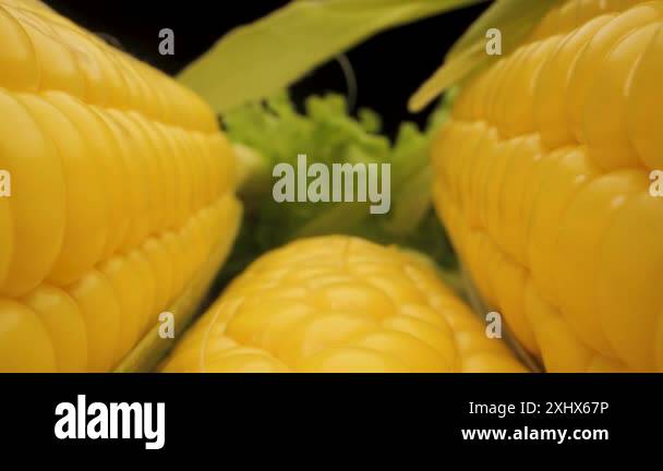This video shows a close-up view of fresh corn cobs with their kernels ...