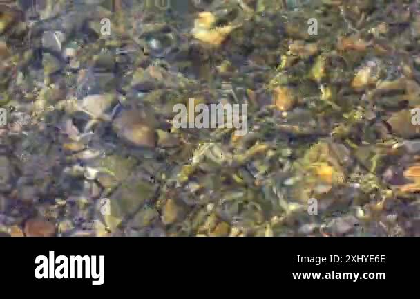 Pebbled seabed seen through clear rippled sea water natural background ...