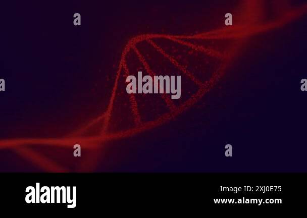 Science, red and spiral of dna on black background for genetic ...