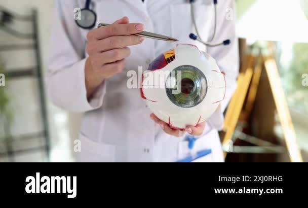 Anatomical model of human eye Stock Videos & Footage - HD and 4K Video ...