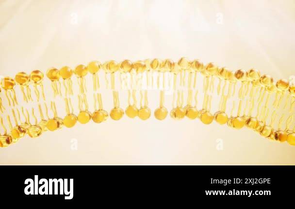 Transparent membrane Stock Videos & Footage - HD and 4K Video Clips - Alamy