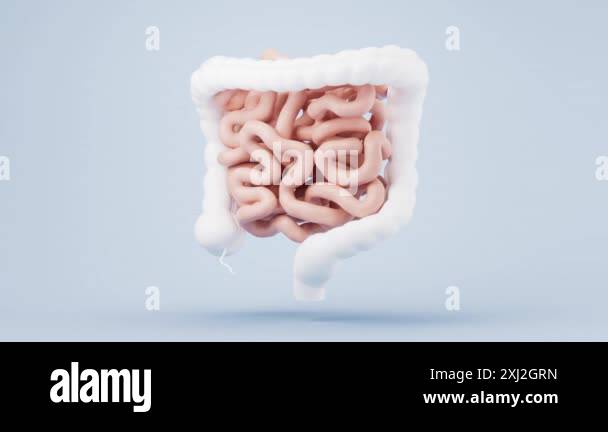 Digestive health Stock Videos & Footage - HD and 4K Video Clips - Alamy