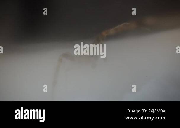 Misty outline Stock Videos & Footage - HD and 4K Video Clips - Alamy
