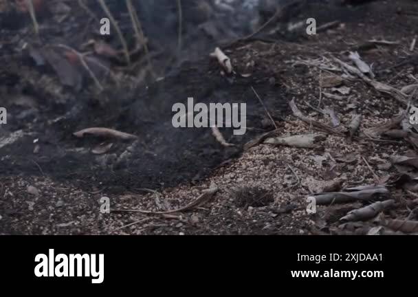 How to photograph smoke Stock Videos & Footage - HD and 4K Video Clips ...