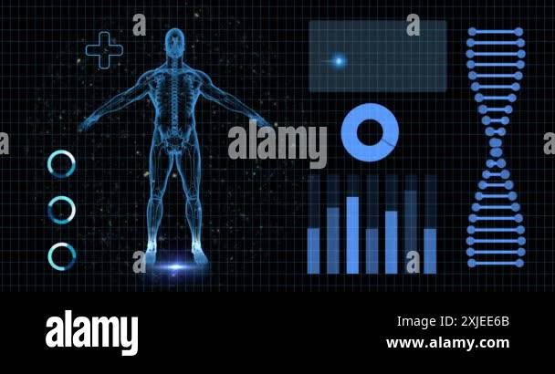 Digital skeleton monitor Stock Videos & Footage - HD and 4K Video Clips ...