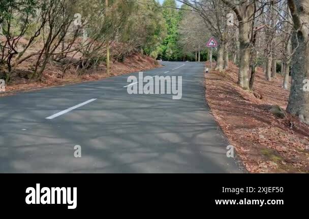 Scenic route outdoor setting Stock Videos & Footage - HD and 4K Video ...