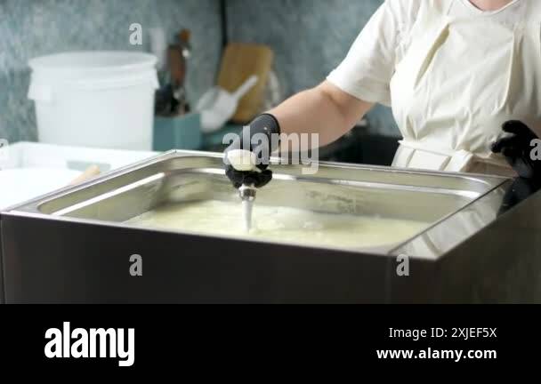 Farmer woman pouring raw milk into container tank milking in dairy farm ...